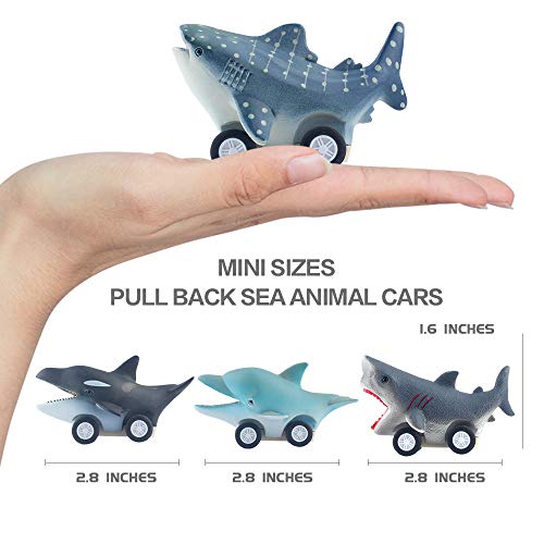 DINOBROS Sea Animal Pull Back Toy Cars Playset Ocean Game Set of 12Pcs Great White Shark Dolphin Killer Whale Toys for Boys and Toddlers 3 Year Olds and Up