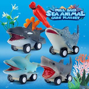 DINOBROS Sea Animal Pull Back Toy Cars Playset Ocean Game Set of 12Pcs Great White Shark Dolphin Killer Whale Toys for Boys and Toddlers 3 Year Olds and Up