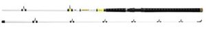 daiwa beef kitty catfish spinning rod 12' 2pc 17-40#