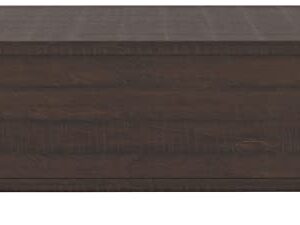 Signature Design by Ashley Camiburg Farmhouse Lift Top Coffee Table with Storage, Dark Brown