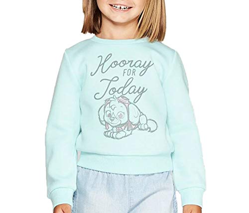 Nickelodeon Little Girls Paw Patrol Skye Cozy Sweatshirt, Mint Blue, 2T