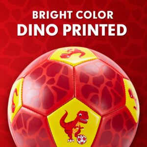 Size 3 Soccer Ball for Kids with Pump Mesh Bag - Dinosaur Ball Set - Outside/Backyard/Outdoor Toys for Kids Ages 3-4-5-8 - Kids Games Soccer Gifts for 3 Year Old