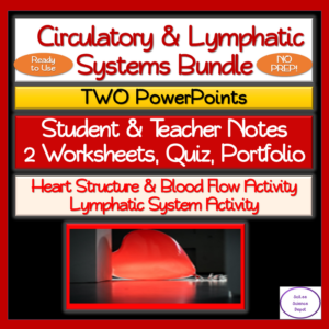 circulatory & lymphatic system no prep bundle: 2 lessons, activities, assessment