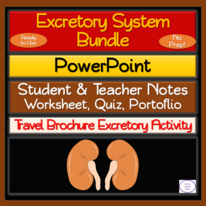 excretory system no prep bundle: powerpoint, guided notes, worksheet, activity, study guide, quiz, & test