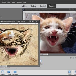 Training for Adobe Photoshop Elements 2020 from How To Gurus - 3 DVDs Over 19 Hours in 240 Software Tutorial with Easy to Follow Videos plus Tips and Tricks