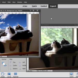 Training for Adobe Photoshop Elements 2020 from How To Gurus - 3 DVDs Over 19 Hours in 240 Software Tutorial with Easy to Follow Videos plus Tips and Tricks