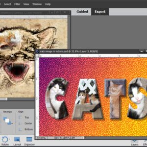 Training for Adobe Photoshop Elements 2020 from How To Gurus - 3 DVDs Over 19 Hours in 240 Software Tutorial with Easy to Follow Videos plus Tips and Tricks