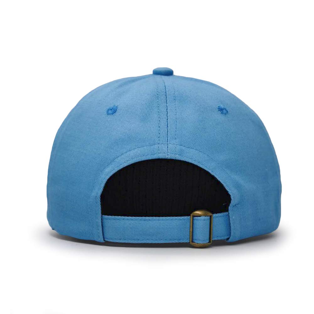 Croogo Short Brim Cap for Men Baseball Hat Stylish Trucker Cap Hat (M-RD02-Sky Blue)