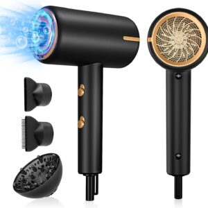 Professional Ionic Salon Hair Dryer, Powerful 1800W Blow Dryer, Negative Ion Technolog, 2 Speed, 3 Cool Settings, 2 Concentrator Nozzles and 1 Diffuser, for Home, Travel, Salon and Hotel