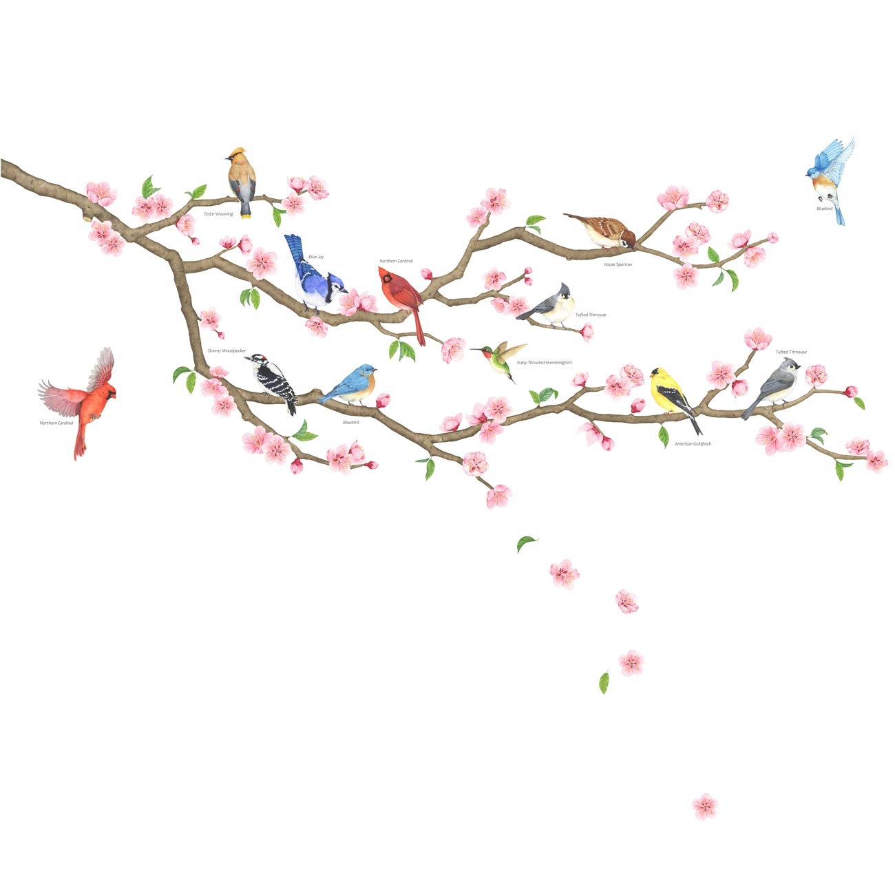 DECOWALL DAT-2004 Garden Birds on Tree Branch Kids Wall Stickers Wall Decals Peel and Stick Removable Wall Stickers for Kids Nursery Bedroom Living Room d?cor