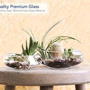 Royal Imports Flower Glass Vase, Bowl Terrarium Succulent Planter, Air Plant Hydroponic Display, Floating Candles Decorative Centerpiece Floral Container for Home or Wedding Set of 2, Clear