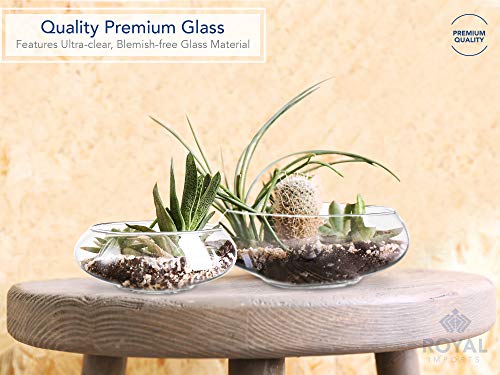 Royal Imports Flower Glass Vase, Bowl Terrarium Succulent Planter, Air Plant Hydroponic Display, Floating Candles Decorative Centerpiece Floral Container for Home or Wedding Set of 2, Clear