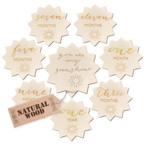 baby monthly milestone cards - months baby milestone signs double sided wooden monthly baby milestone newborn photography props - wooden baby blocks