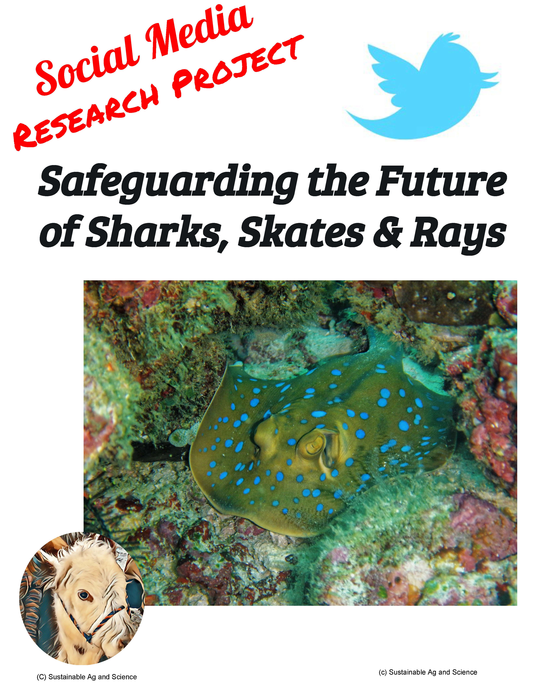 Safeguarding the Future of Sharks, Skates & Rays - Shark Conservation Social Media Engaging Lesson Plan Research Project