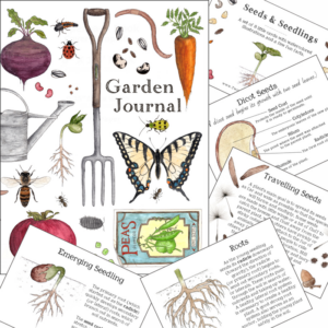 garden journal with seeds & seedlings learning cards