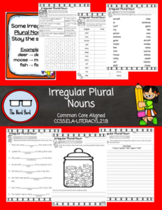 irregular plural nouns