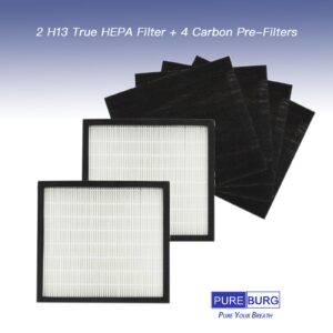 PUREBURG WK01234QPC True HEPA Filter Set Compatible with Oreck WK01234QPC Fits WK10002QPC and Plus Pet WK10052QPC Air Purifiers,H13 Activated carbon Pre-Filter Air Clean,2-Pack