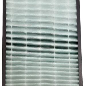 Nispira True HEPA Filter + Activated Carbon Pre Filter Kit Set Replacement Compatible with Rabbit Air BioGS 2.0 Ultra Quiet Air Purifier Model SPA-550A and SPA-625A, 1 Pack