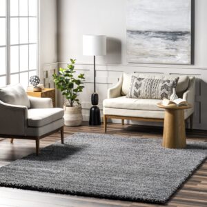 nuloom marleen contemporary shag accent rug, 2x3, grey