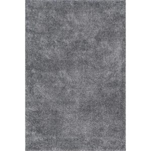 nuLOOM Marleen Contemporary Shag Accent Rug, 2x3, Grey