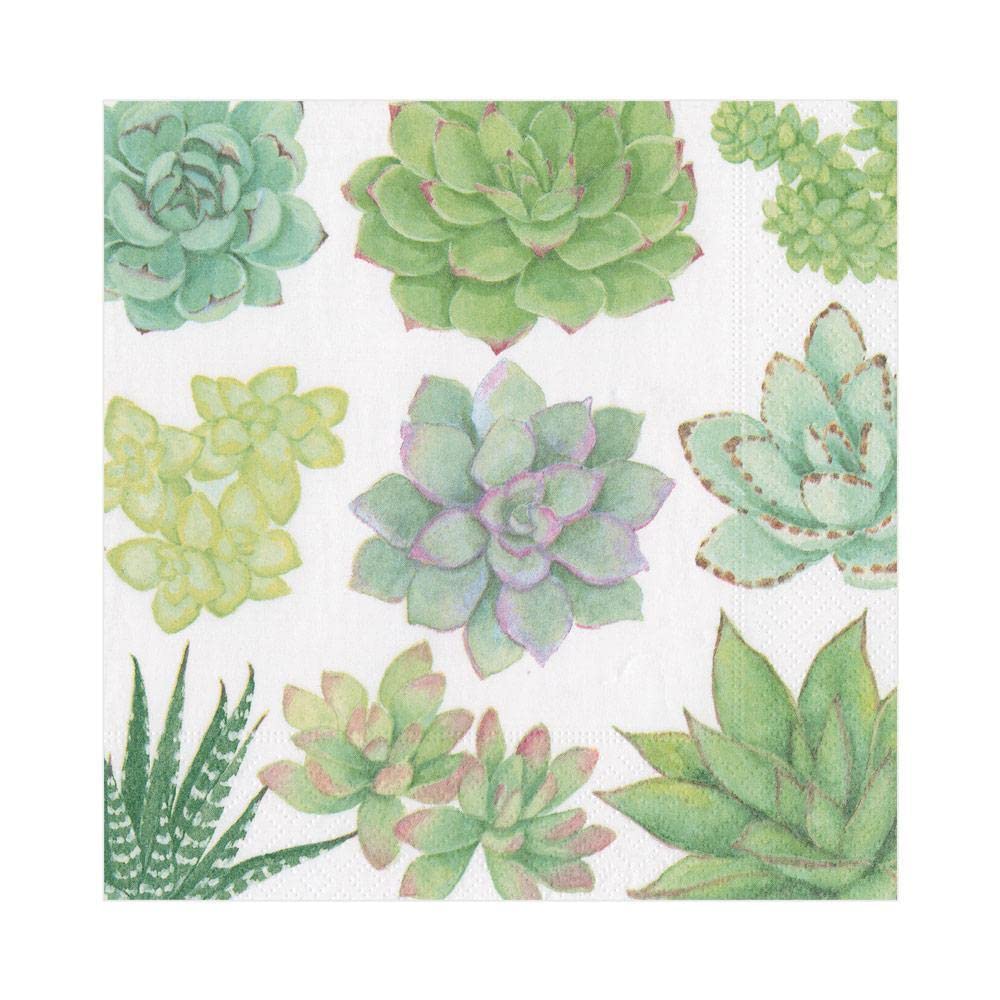 Caspari Succulents Paper Luncheon Napkins - 40 Count