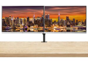 hp elitedisplay e243 24 inch ips led backlit monitor (1fh47a8#aba) 2-pack bundle with fully adjustable desk mount monitor stand