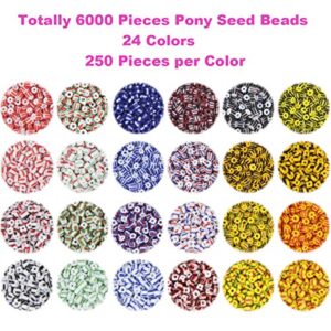 EuTengHao 6000pcs Striped Seed Beads Small Craft Glass Seed Spacer Beads Set for DIY Bracelet Necklaces Crafting Jewelry Making Supplies with Bracelet String (250Pcs Per Color, 4mm, 24 Colors)