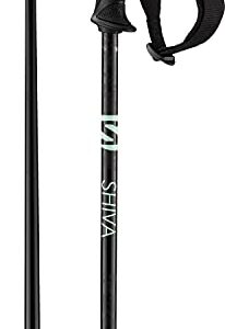 Salomon Shiva Ski Poles - 115