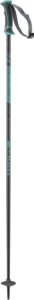 salomon arctic lady ski poles - 100