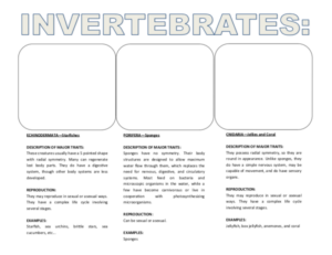 biology research project - animal classifications for invertebrates all 9 groups