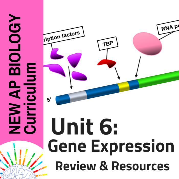 AP Biology 2020 Unit 6 Gene Expression and Regulation AP Biology Exam Review