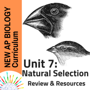 ap biology 2020 unit 7 natural selection ap biology exam review