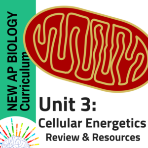 ap biology 2020 unit 3 cellular energetics exam review