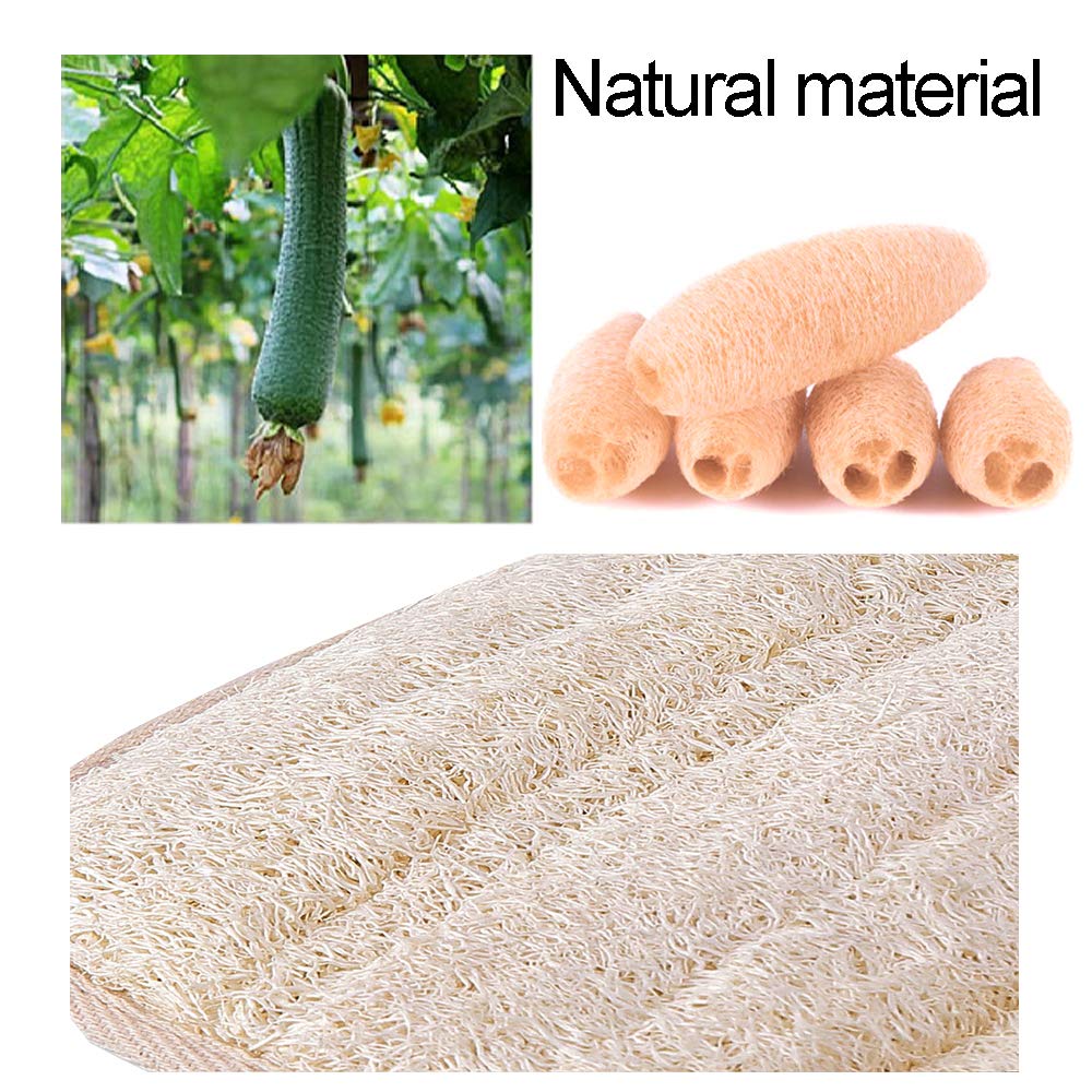 Back Scrubber for Shower, Hands-Free Natural Back Loofah for Shower