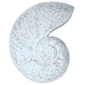 t.i. design hand-carved coastal white nautilus shell beach wall decor