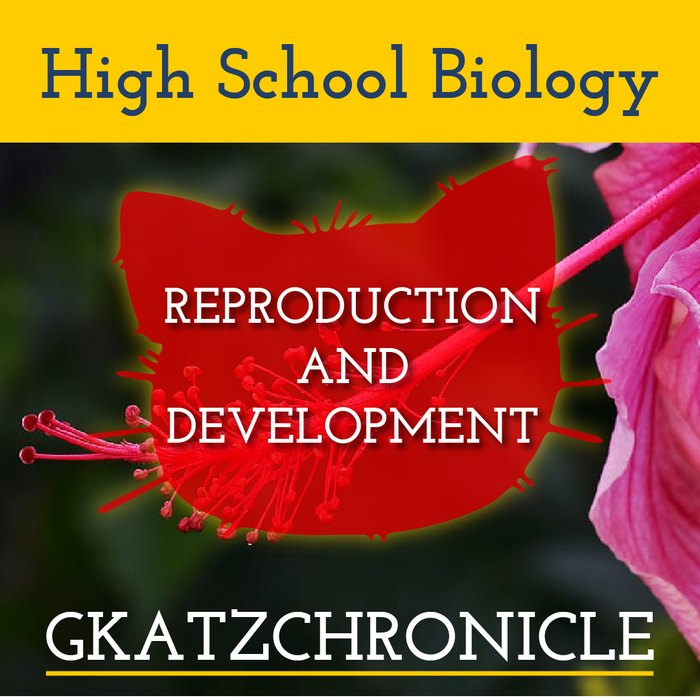 BIOLOGY CONCEPTS: SEXUAL REPRODUCTION (EDUCATIONAL ACTIVITIES, INC.) Video Study Worksheet