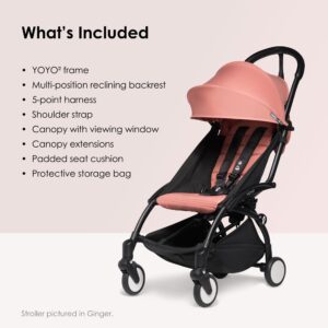 BABYZEN YOYO2 Stroller - Lightweight & Compact - Includes Black Frame, Toffee Seat Cushion + Matching Canopy - Suitable for Children Up to 48.5 Lbs