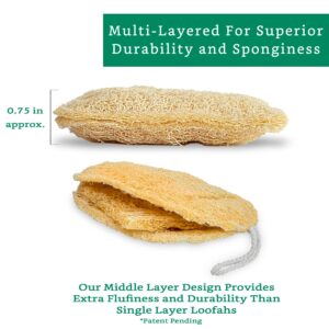 Natural Loofah Exfoliating Sponge (3 Pack) - Loofa Body Scrubber - Loofah Sponge - Loofah Exfoliating Body Scrubber - Organic Loofah - Shower Luffa Sponges - Exfoliating Loofah - Biodegradable Loofah