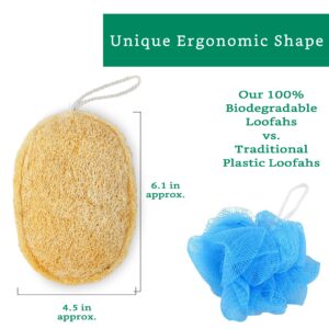 Natural Loofah Exfoliating Sponge (3 Pack) - Loofa Body Scrubber - Loofah Sponge - Loofah Exfoliating Body Scrubber - Organic Loofah - Shower Luffa Sponges - Exfoliating Loofah - Biodegradable Loofah