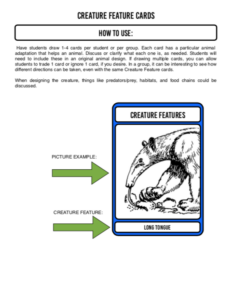 creature features - animal adaptations cards - science center activity