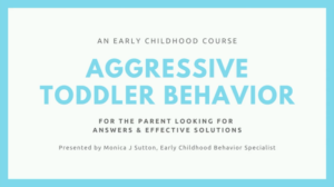 aggressive toddler behavior course