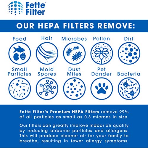 Fette Filter - True HEPA Air Purifier Filter Model AC5600W. Filter N Compare to Part # FLT5600. (Pack of 1)