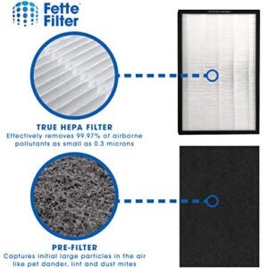 Fette Filter - True HEPA Air Purifier Filter Model AC5600W. Filter N Compare to Part # FLT5600. (Pack of 1)