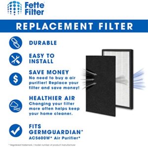 Fette Filter - True HEPA Air Purifier Filter Model AC5600W. Filter N Compare to Part # FLT5600. (Pack of 1)