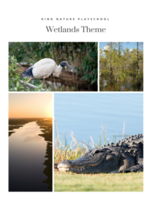 wetland nature playschool theme