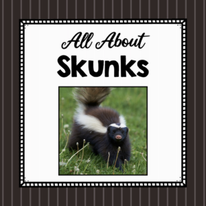 all about skunks