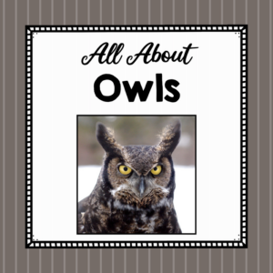 all about owls - elementary animal science unit