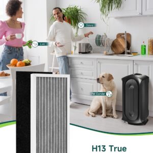 04383 Filter Replacement Compatible with Hamilton Beach 04383, 04384, 04385 Air Purifier, 2 True HEPA Filter & 8 Carbon Filters, Part# 990051000