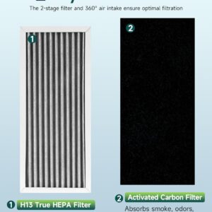 04383 Filter Replacement Compatible with Hamilton Beach 04383, 04384, 04385 Air Purifier, 2 True HEPA Filter & 8 Carbon Filters, Part# 990051000