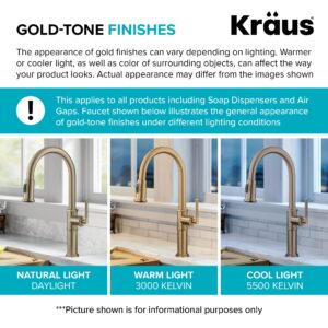 KRAUS Kitchen Soap and Lotion Dispenser in Brushed Gold, KSD-31BG